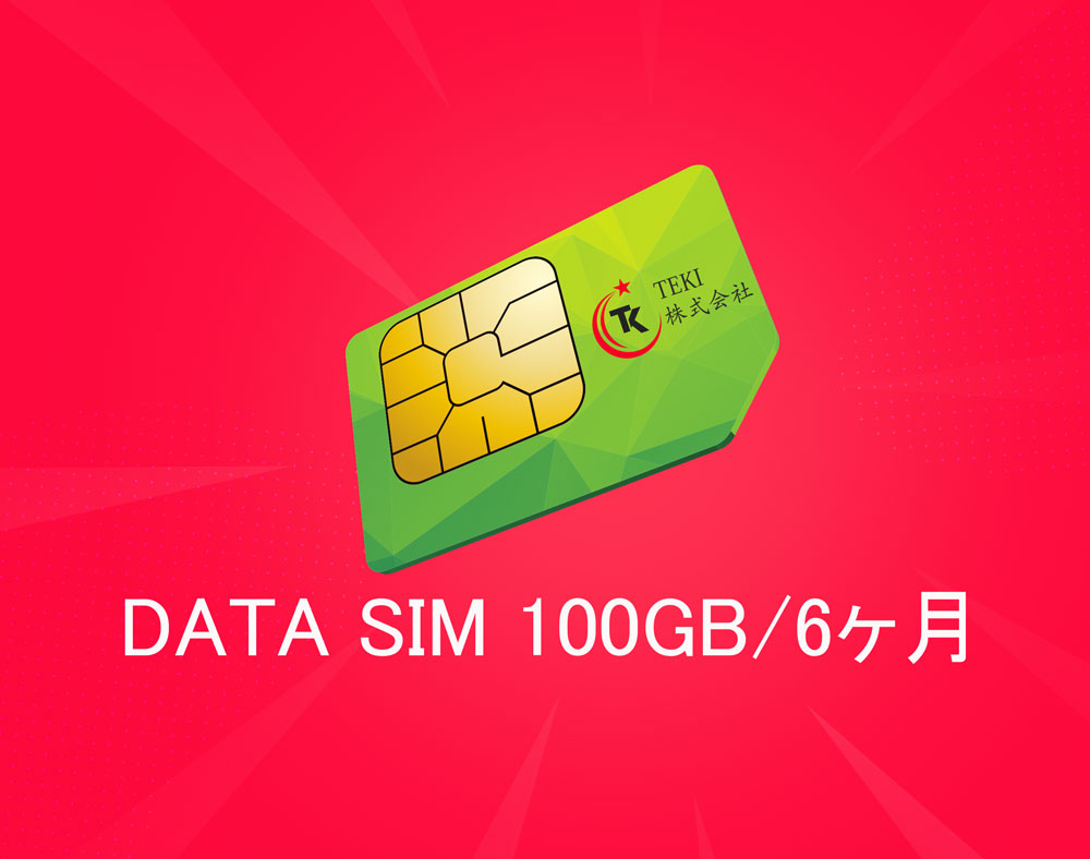 データSIM 100GB/6ヶ月 – TEKi 株式会社